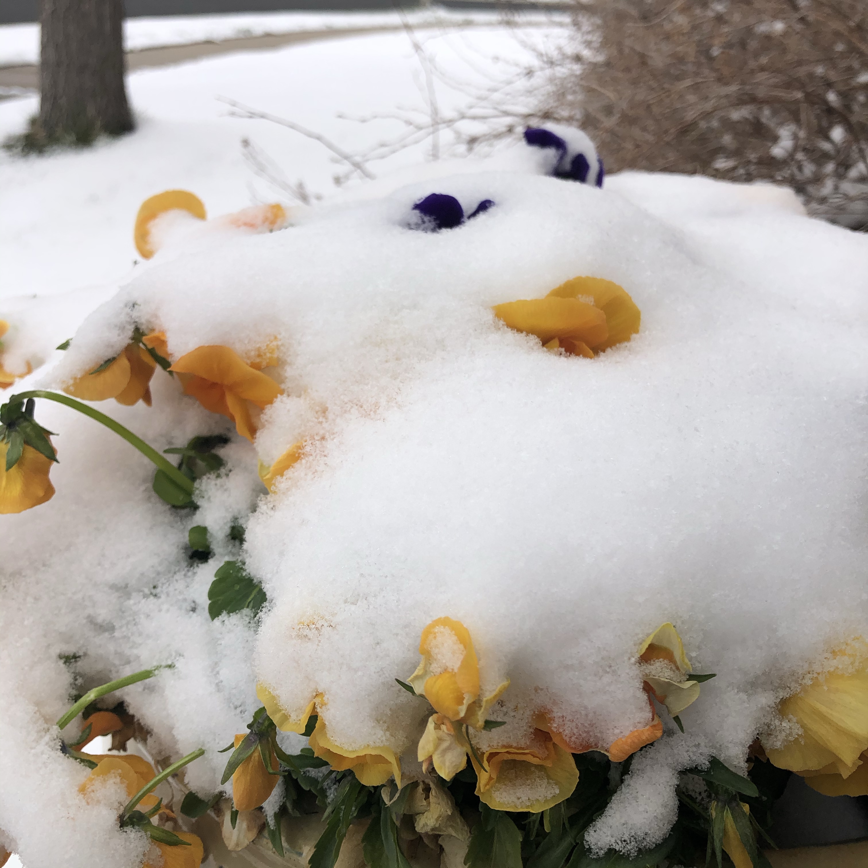 Happy Easter – Mile High Soapbox